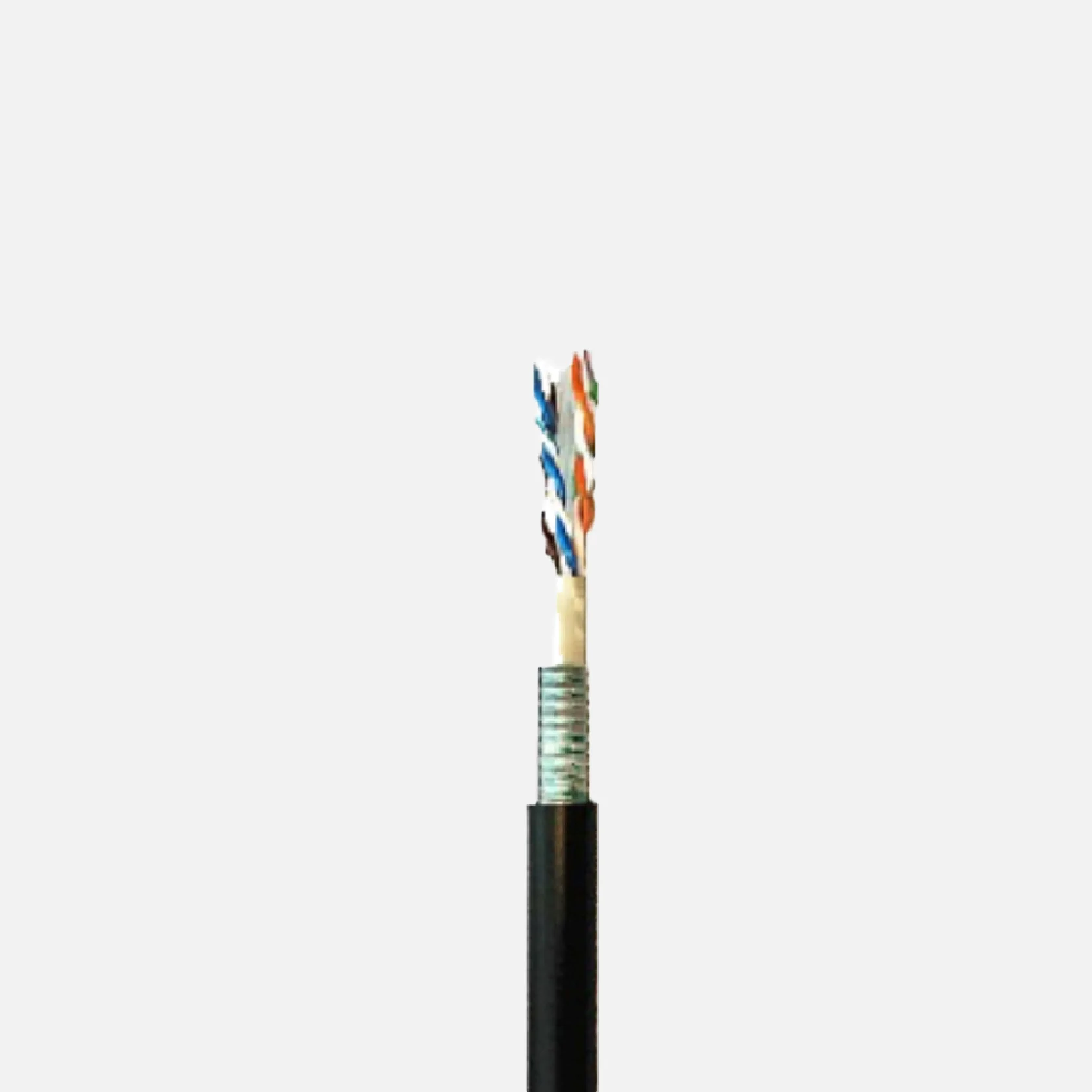 ARMORED UTP CAT6 CABLE 305 | Magnus
