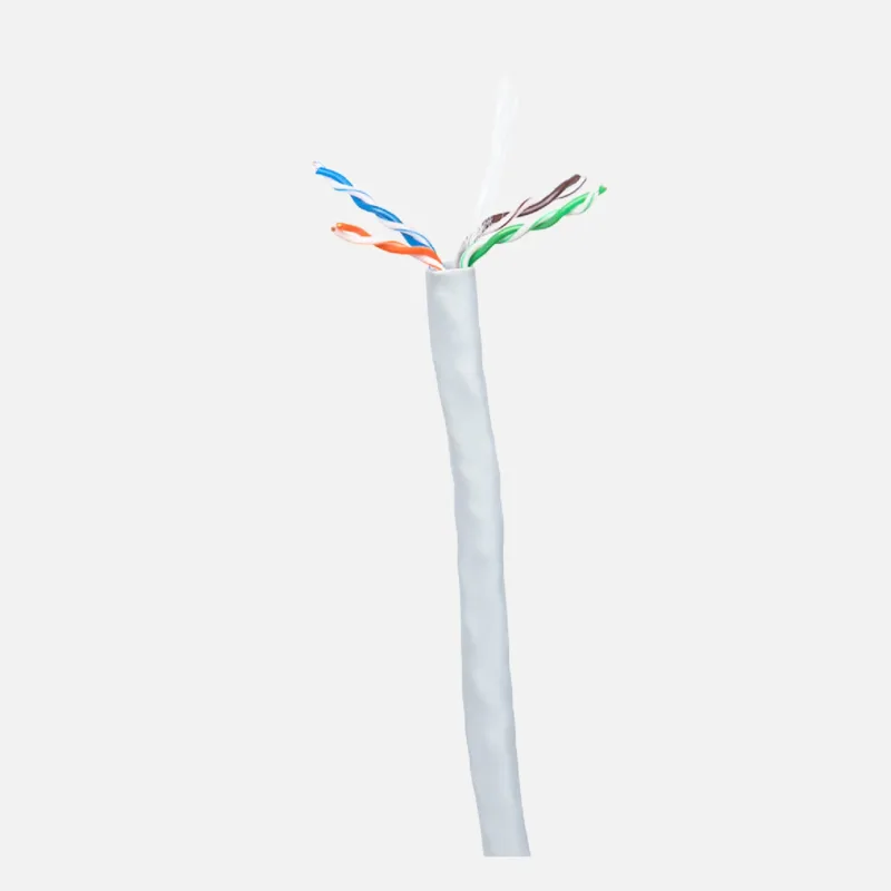 ARMORED UTP CAT6 CABLE 305 | Magnus