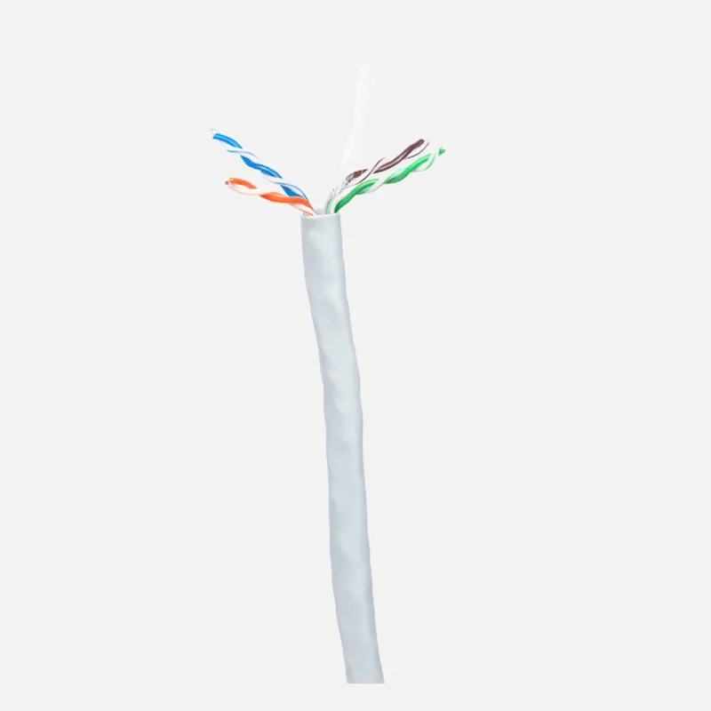 ARMORED UTP CAT6 CABLE 305 | Magnus